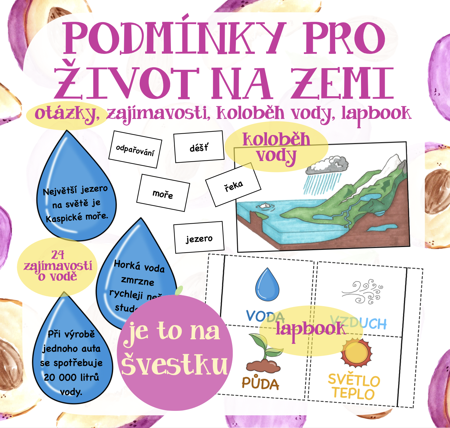 Podmínky pro život na zemi - voda, vzduch, půda, světlo, teplo - Prvouka | UčiteléUčitelům.cz